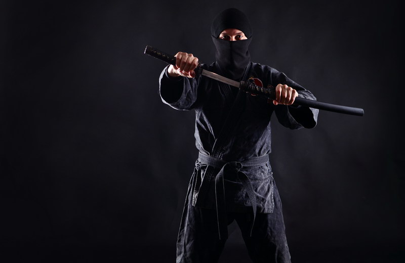 The Real History of the Ninjas